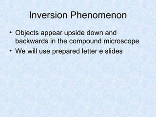 Microscope Biology I Lab | PPT