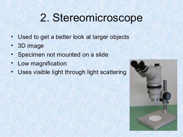 Microscope Biology I Lab