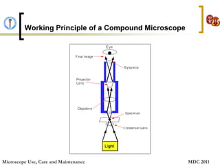 MICROSCOPE USE AND MAINTENANCE(REVISED and CURRENT).ppt