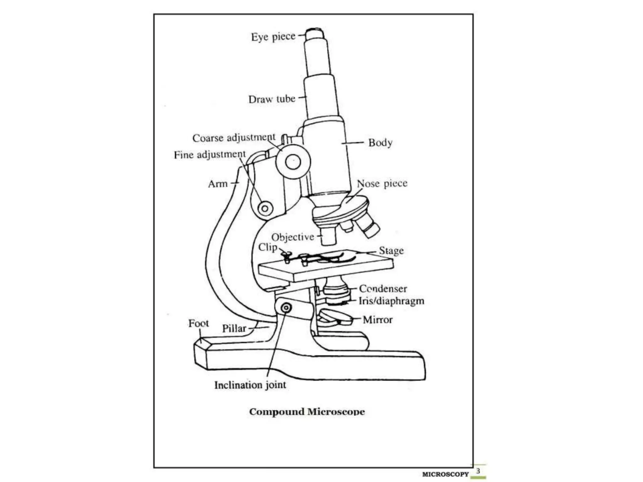 Microscope Uses Types Simple Microscope And Compound Microscope Ppt