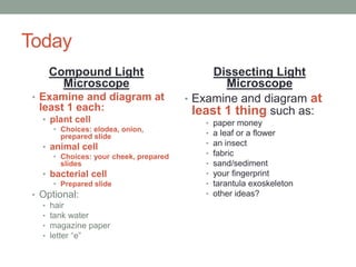 Microscope work for AP Biology students | PPTX | Biological Sciences ...