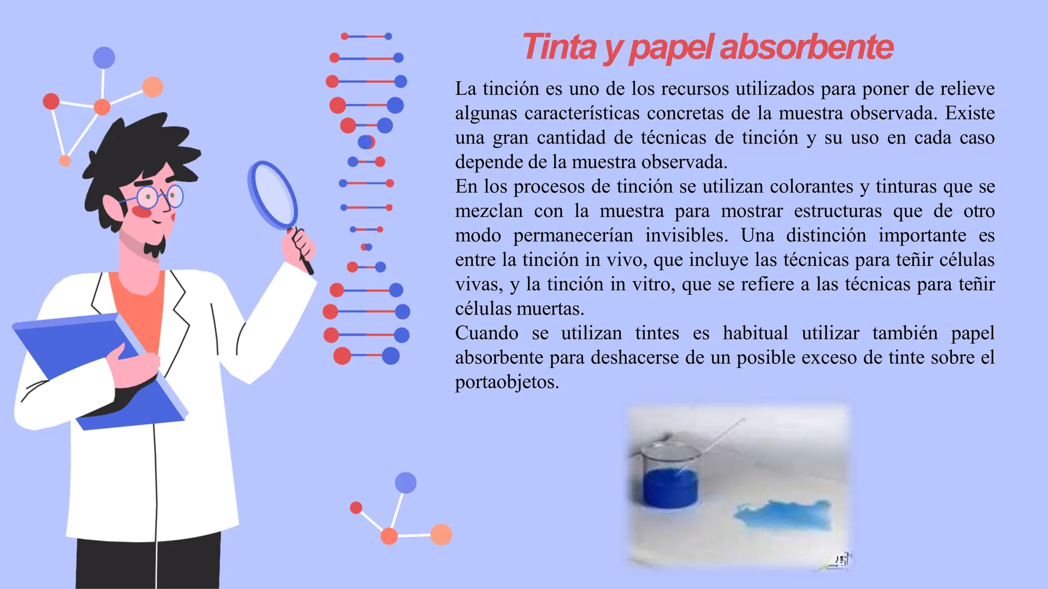 microscopia de animales unicelulares mo | PPT