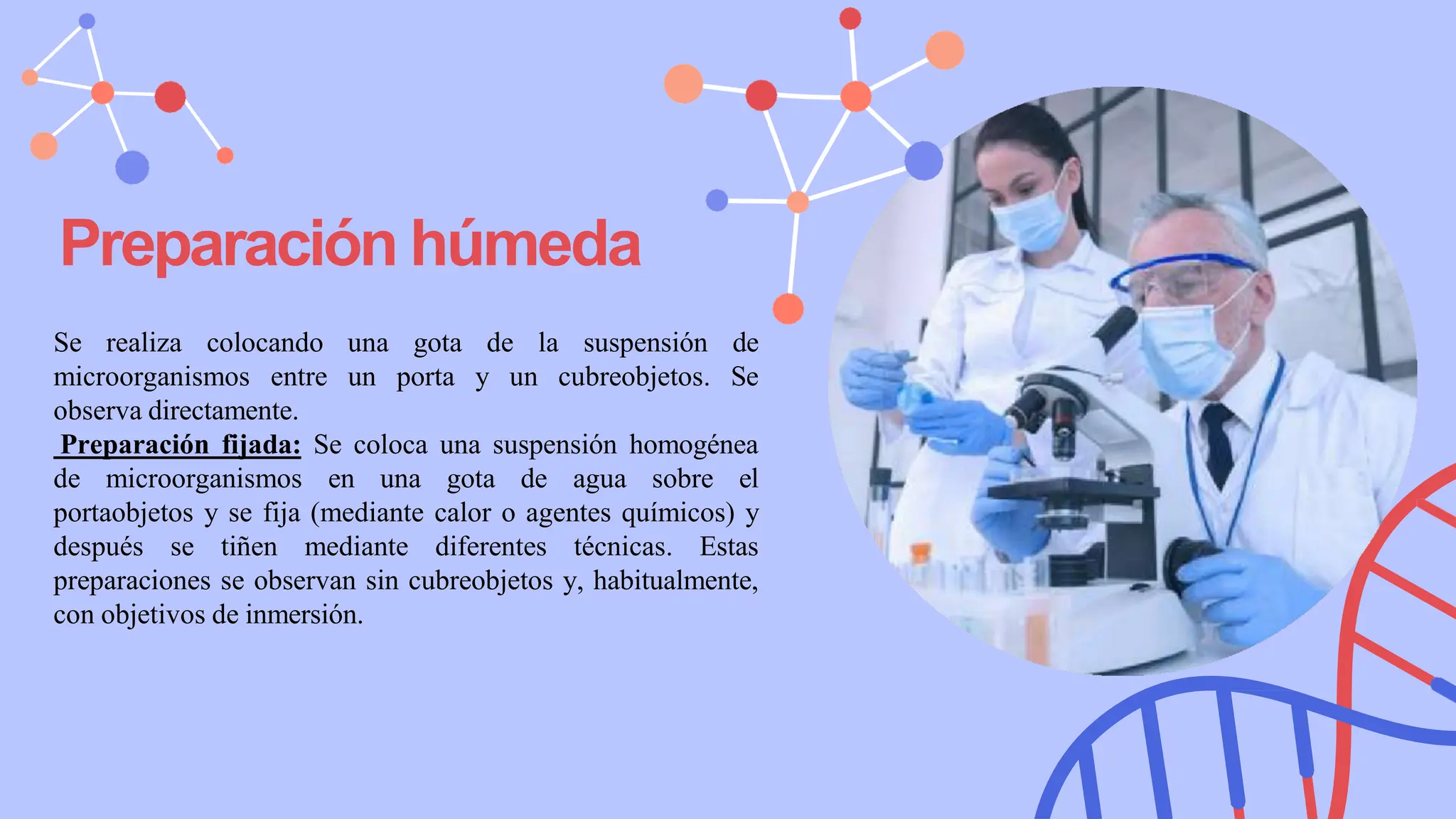 microscopia de animales unicelulares mo | PPT