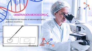 microscopia de animales unicelulares mo | PDF