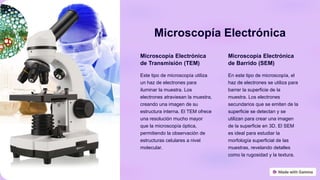 Microscopia Explorando el Mundo Microscopico | PPTX