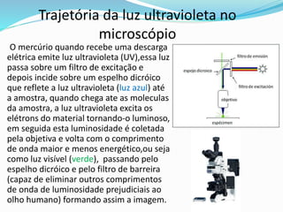 Microscopia de ultravioleta e fluorescência | PPTX