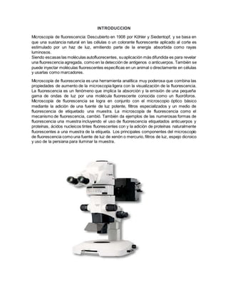 Microscopia de fluorescencia | DOCX