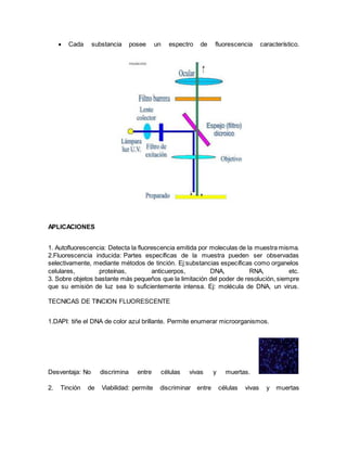 Microscopia de fluorescencia | DOCX