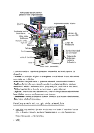 Microscopia de luz ultravioleta | DOCX