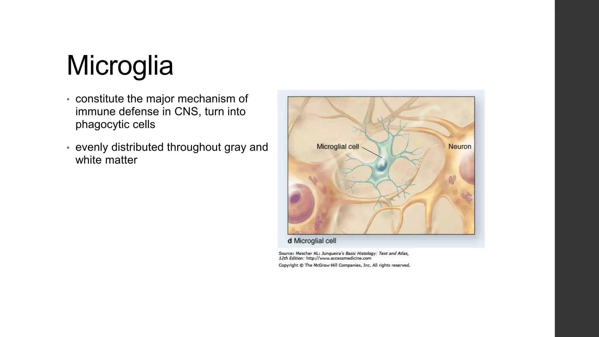 Microscopic anatomy of cerebral cortex | PPTX