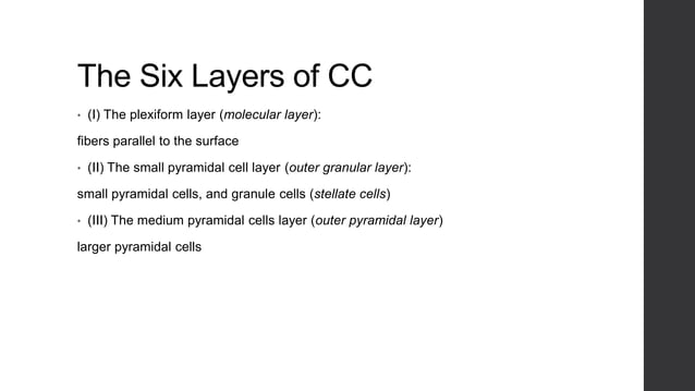 Microscopic anatomy of cerebral cortex | PPTX | Brain and Nervous ...