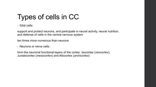 Microscopic anatomy of cerebral cortex | PPTX
