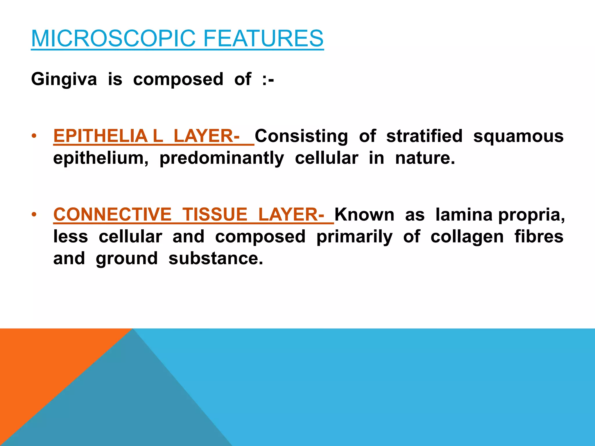 Microscopic anatomy of gingival epithelium | PPTX