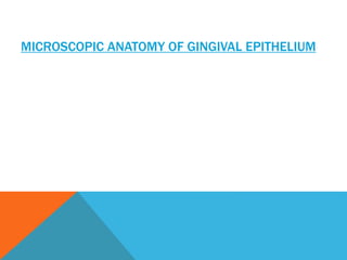 Microscopic anatomy of gingival epithelium | PPTX