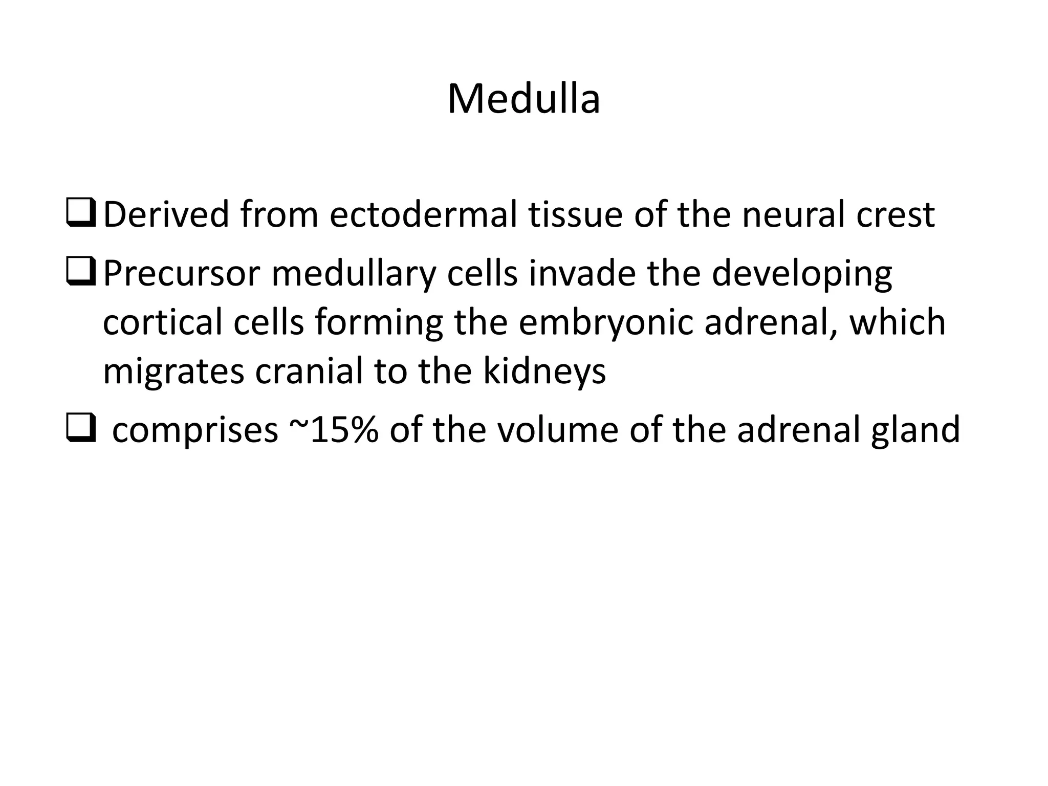 microscopic and gross anatomy of Supra renal.pptx
