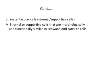 microscopic and gross anatomy of Supra renal.pptx