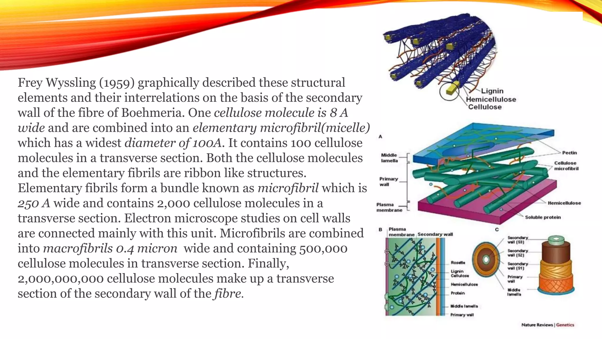 Microscopic and sub microscopic structure of cell wall | PPTX