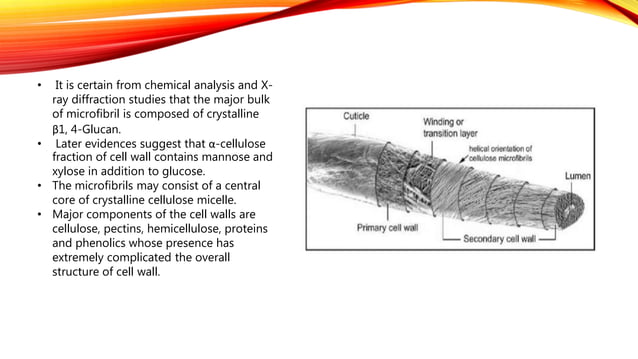 Microscopic and sub microscopic structure of cell wall | PPTX