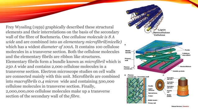 Microscopic and sub microscopic structure of cell wall | PPTX