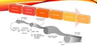 Microscopic and sub microscopic structure of cell wall | PPTX