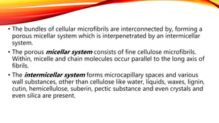 Microscopic and sub microscopic structure of cell wall | PPTX