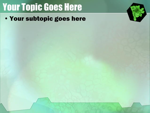 Microscopic details | POT