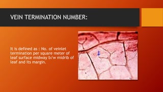 Microscopic evaluation of crude drugs | PPTX
