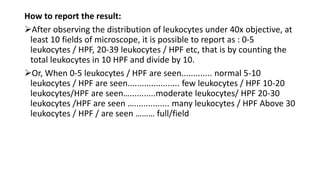 MICROSCOPIC_EXAMIANTION_OF_URINE david.pptx