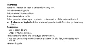 MICROSCOPIC_EXAMIANTION_OF_URINE david.pptx