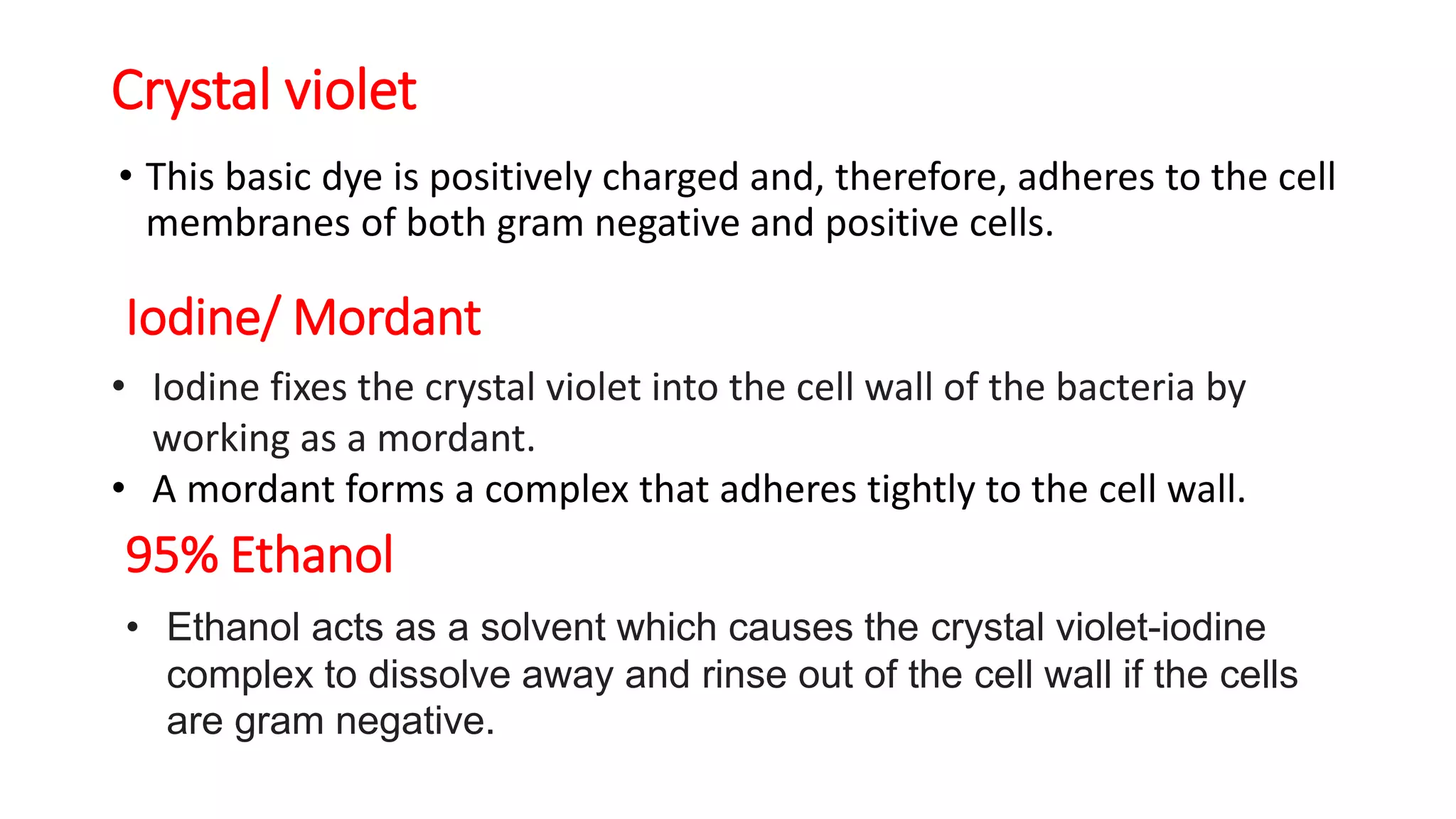 Microscopic examination of bacteria.pptx