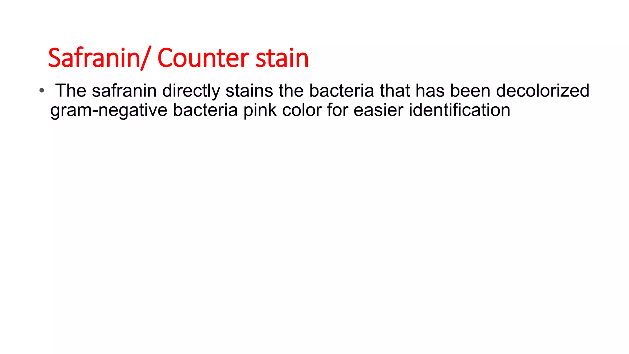 Microscopic examination of bacteria.pptx