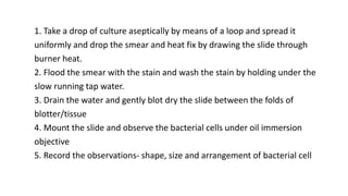 Microscopic examination of bacteria.pptx