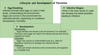 Microscopic Examination of Faeces of animals.pptx