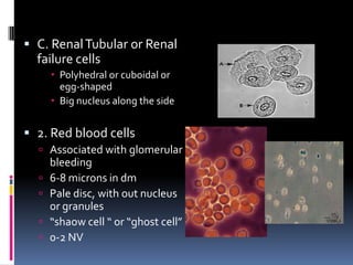 Microscopic examination of urinary sediments | PPTX