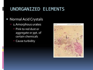Microscopic examination of urinary sediments | PPTX