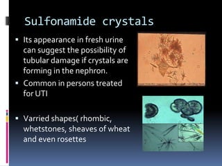 Sulfonamide Crystals
