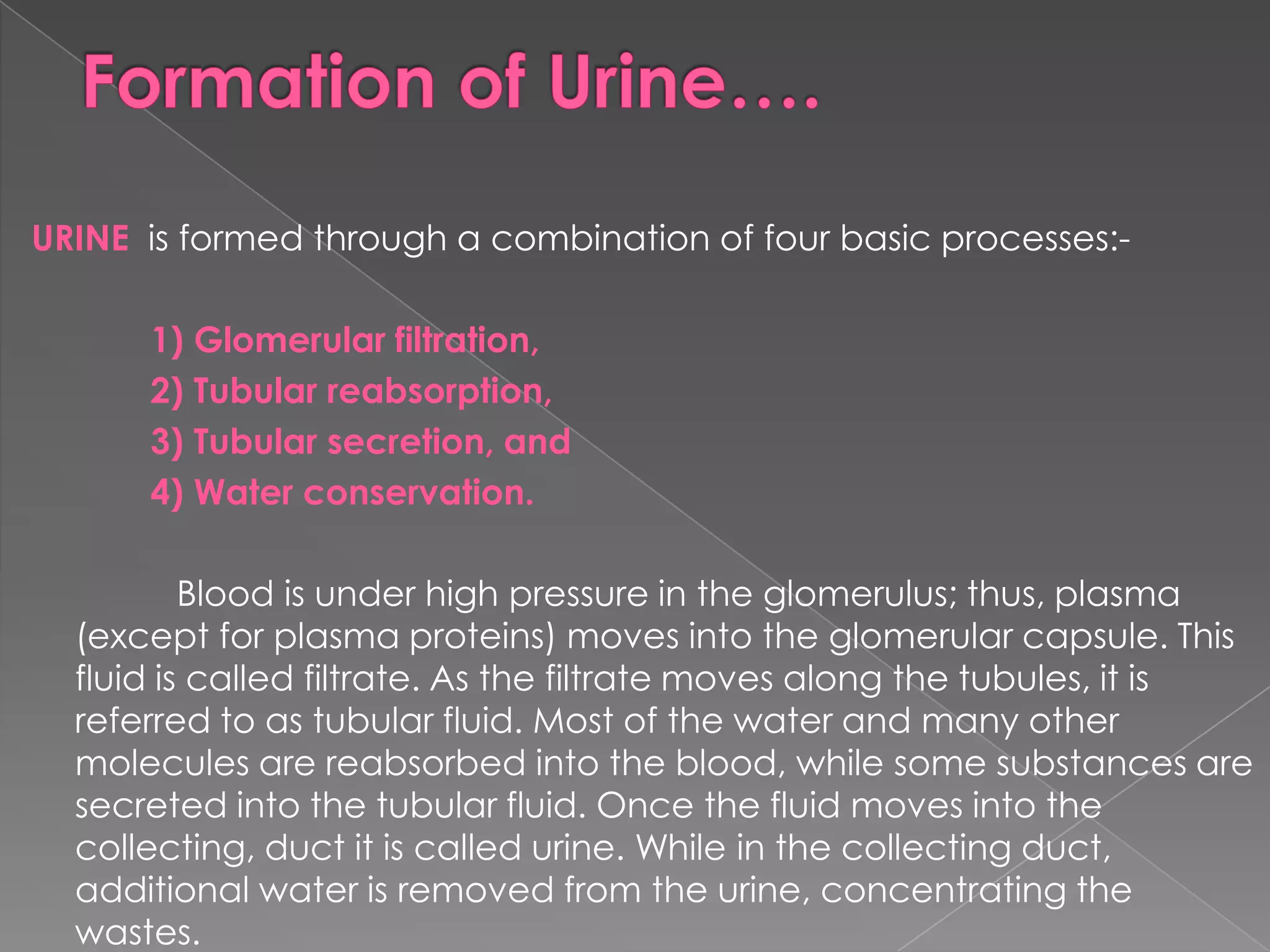 Microscopic examination of urine | PPTX
