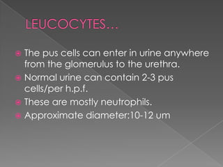 Microscopic examination of urine | PPTX