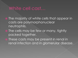 Microscopic examination of urine | PPTX