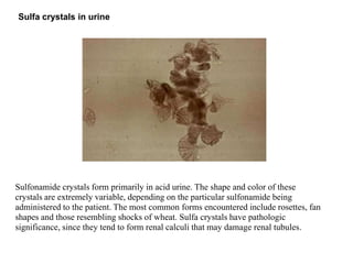 Sulfonamide Crystals
