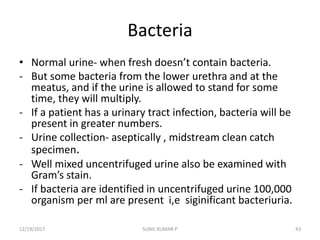 Microscopic examination of urine | PPTX