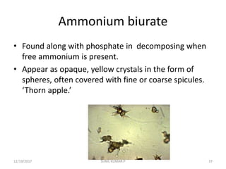 Ammonium Biurate