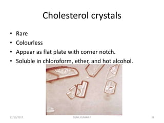 Cholesterol In Urine