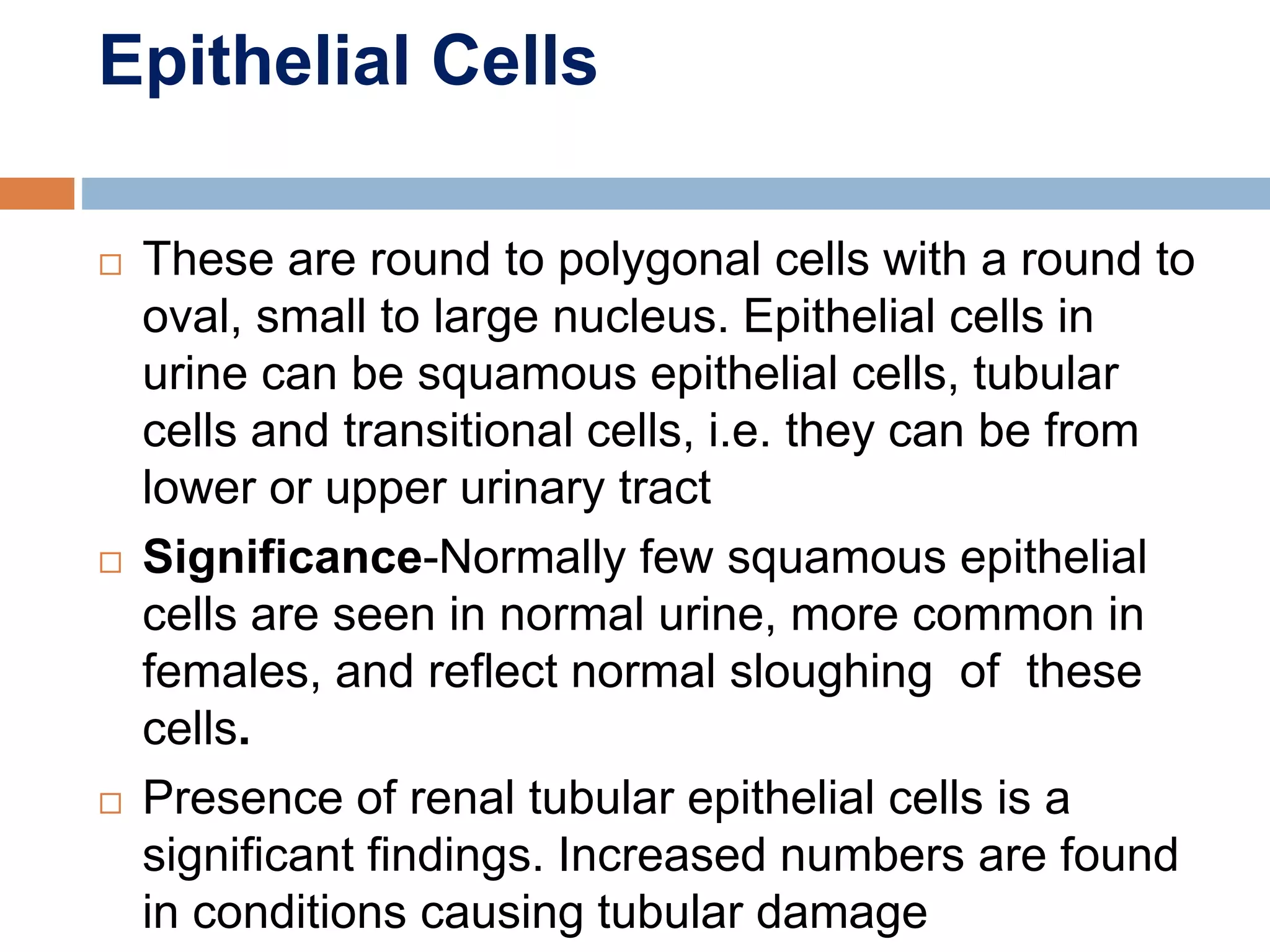 Microscopic examination of urine | PPTX