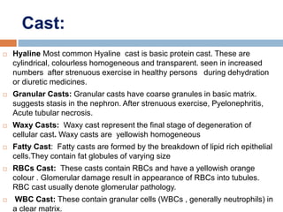 Microscopic examination of urine | PPTX