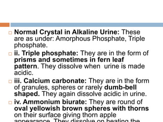 Microscopic examination of urine | PPTX