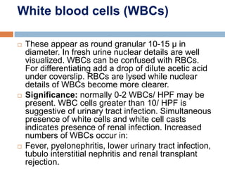 Microscopic examination of urine | PPTX