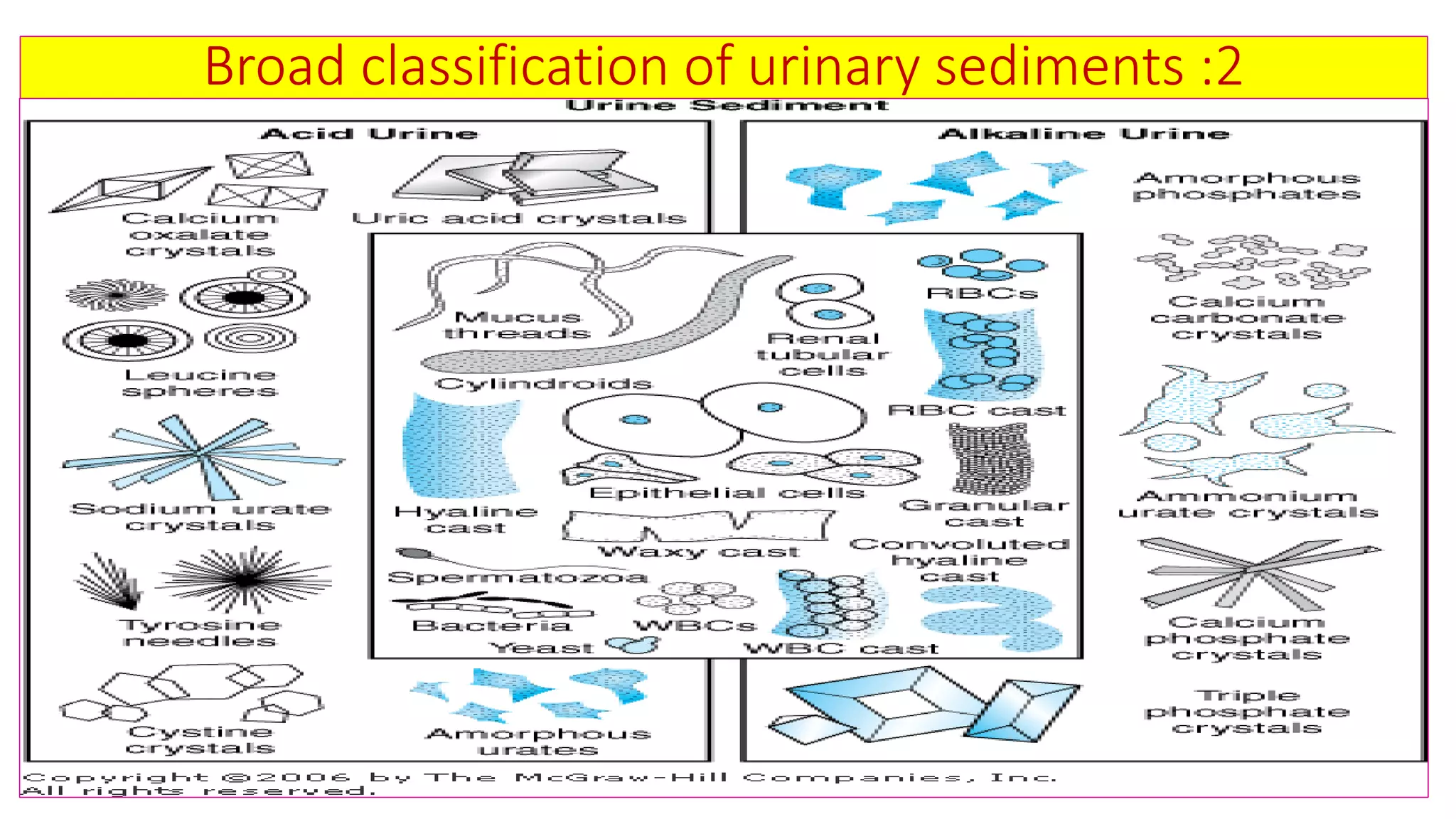 Microscopic examination of urine | PDF