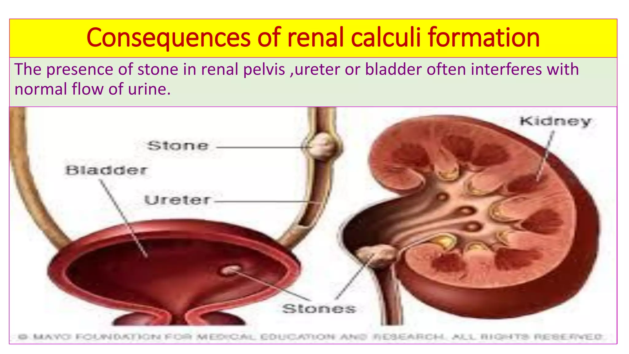 Microscopic examination of urine | PDF