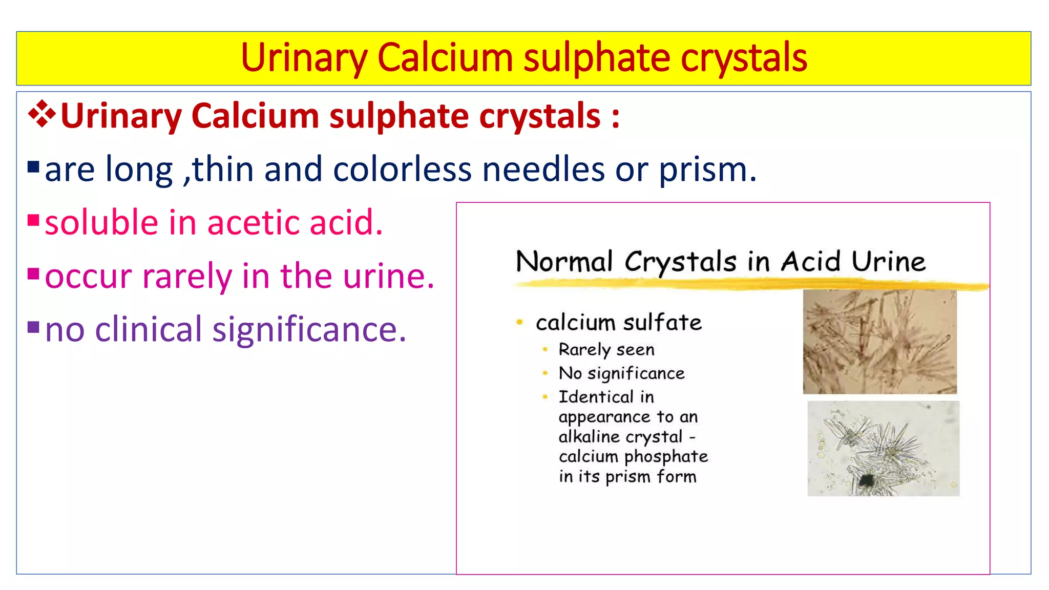 Microscopic examination of urine | PDF
